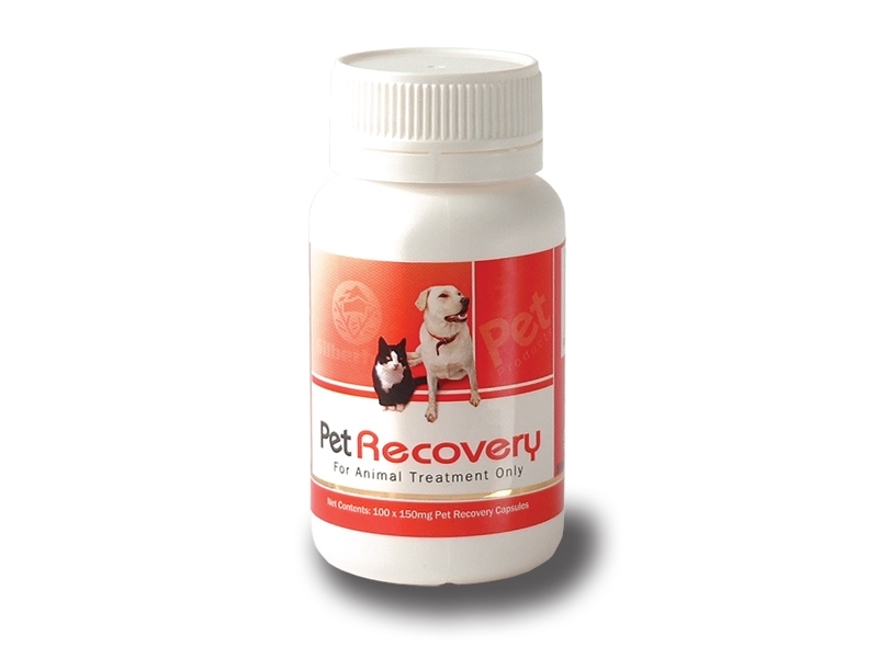 Pet Recovery Formula : 100 Capsules